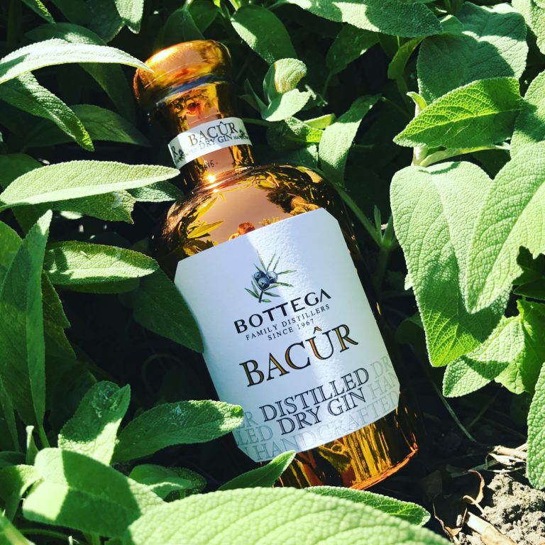 Bottega Bacur Gin – dry gin (Italie) - ThePerfectServe